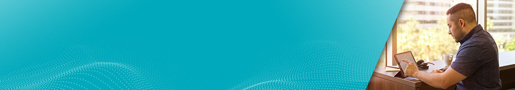 IPS Delivery Enablement